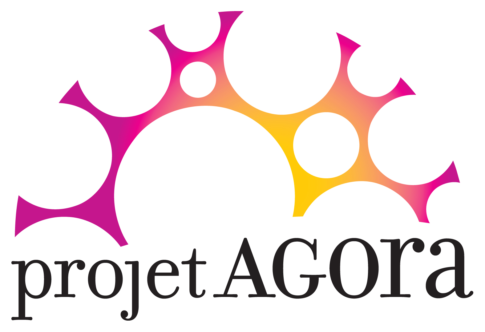 Rapport d’évaluation du projet Agora - Phase 1 - Fédération québécoise ...